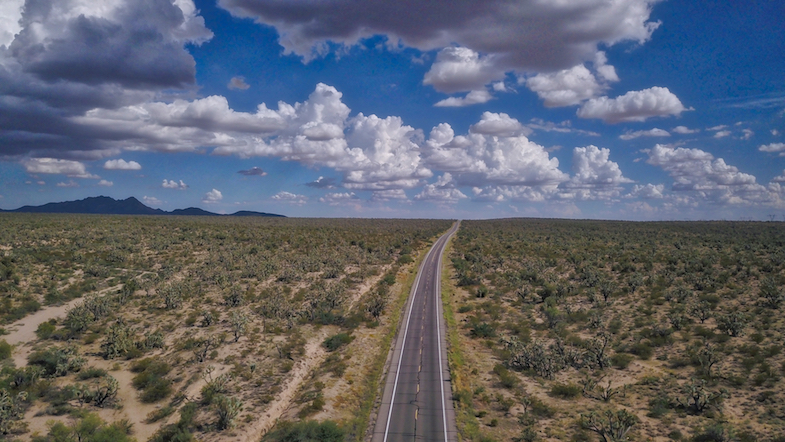 Scenic Roads: Joshua Trees Parkway through Arizona along U.S. 93