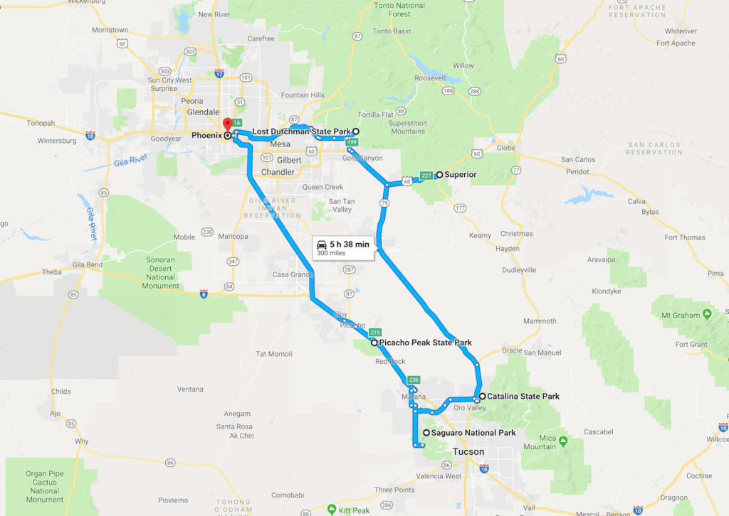 Arizona Wildflowers Road Trip Guide - Mike's Road Trip