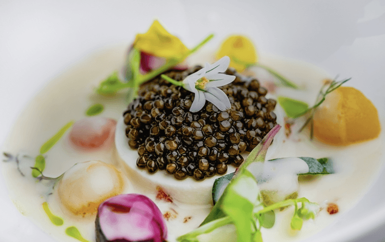 The Michelin Dining Guide: Fueling Gastronomic Road Trips for Over a ...